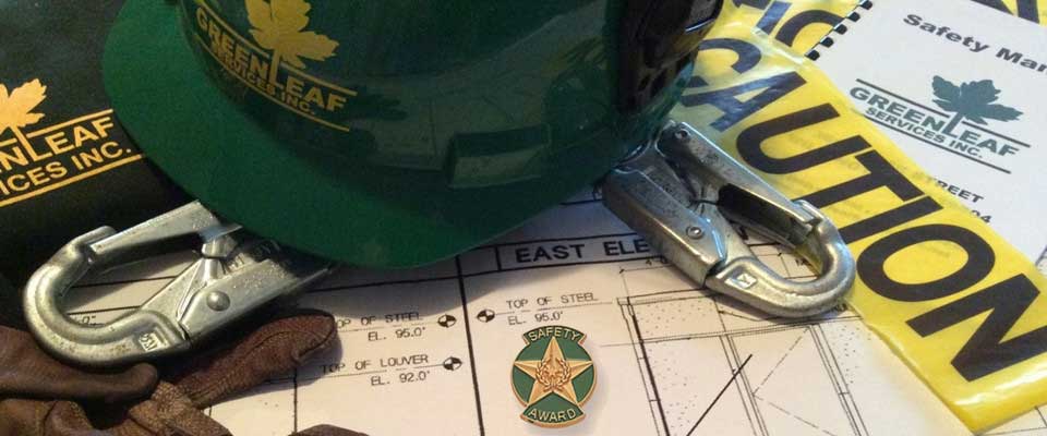 Greenleaf Services, Inc. | Service-Disabled, Veteran-Owned